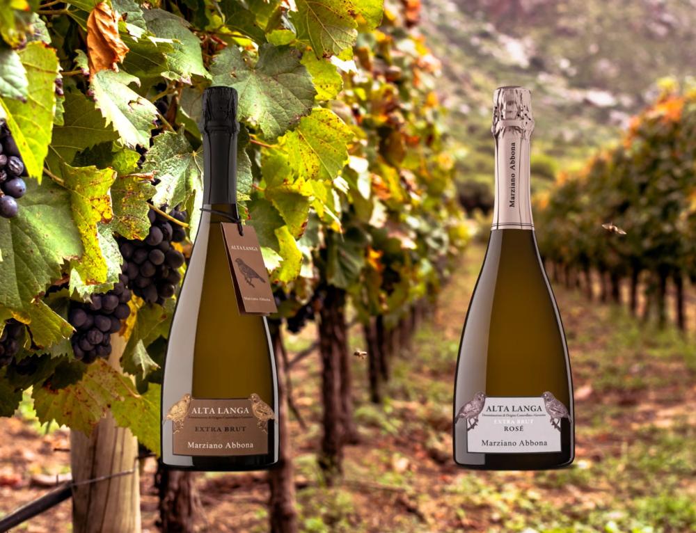 Cos’è il vitigno e quali sono le sue caratteristiche